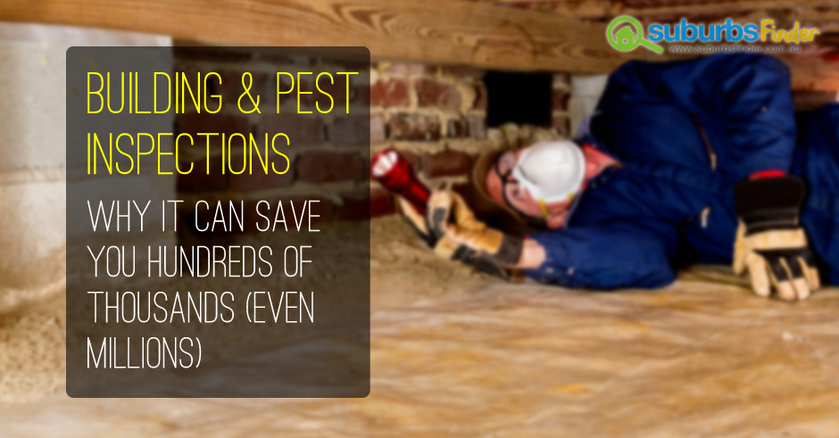 Why Get a Building and Pest Inspection? Everything You Need to Know ...